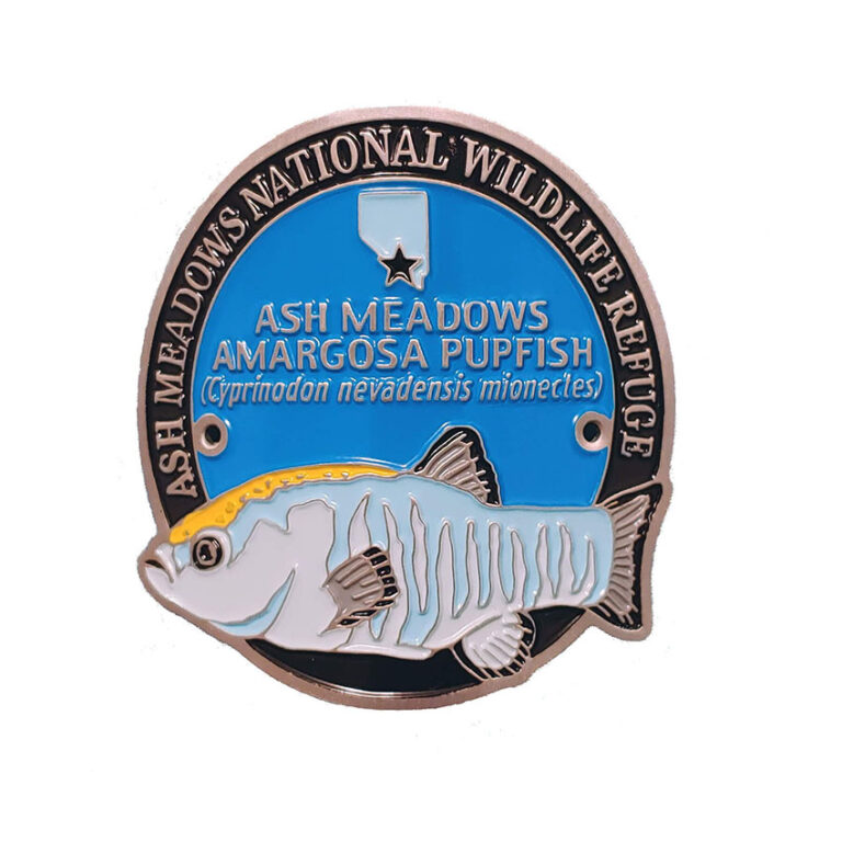 Custom Hiking Medallions – Design Yours Now