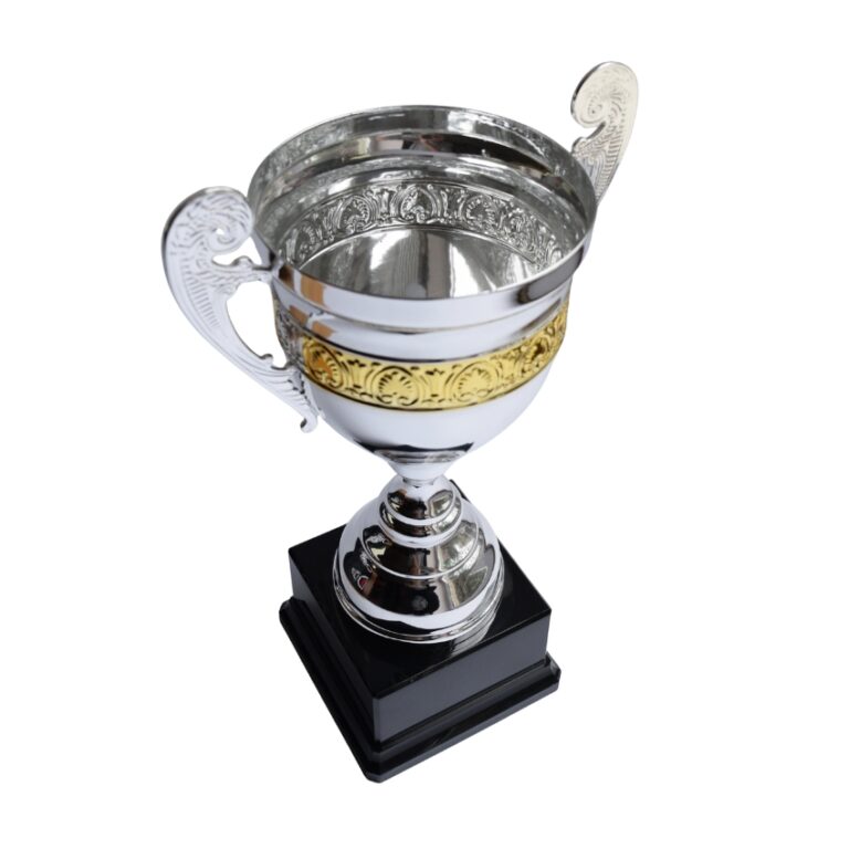 Custom Metal Awards | 3D Trophy | Plaque Awards | Jin Sheu